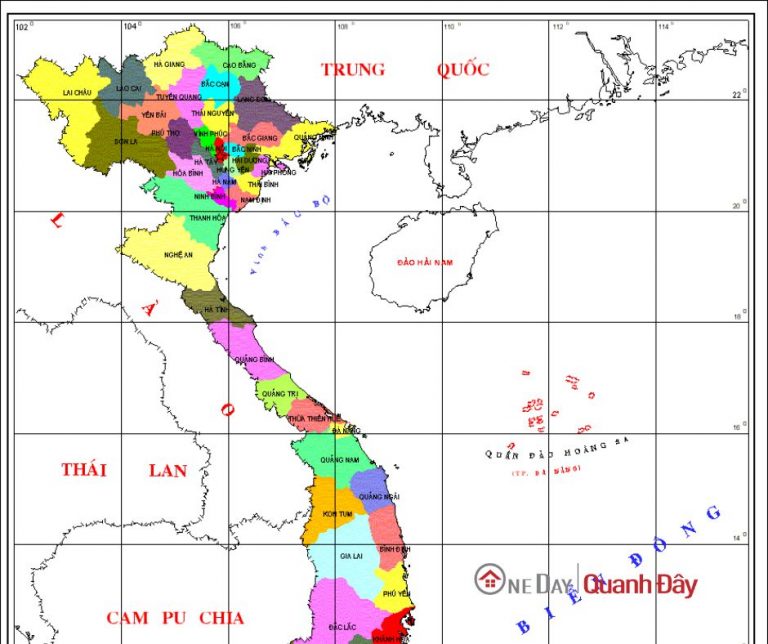 Bản Đồ Là Gì? Phân Loại Và Cách Tính Bản Đồ Chi Tiết - OneDay