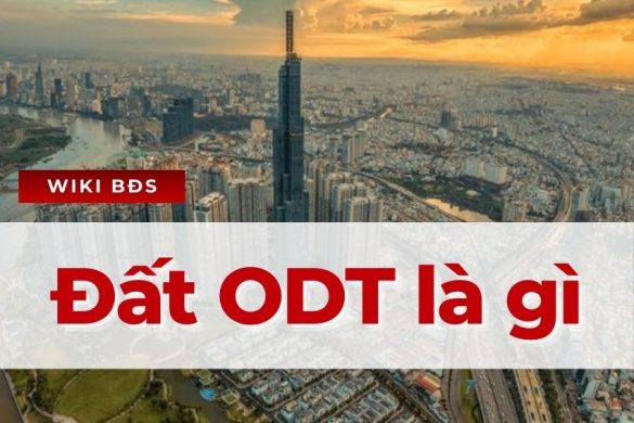 Tổng Hợp Từ A-Z Hoa Mẫu Đơn? Ý Nghĩa Trong Phong Thủy - OneDay